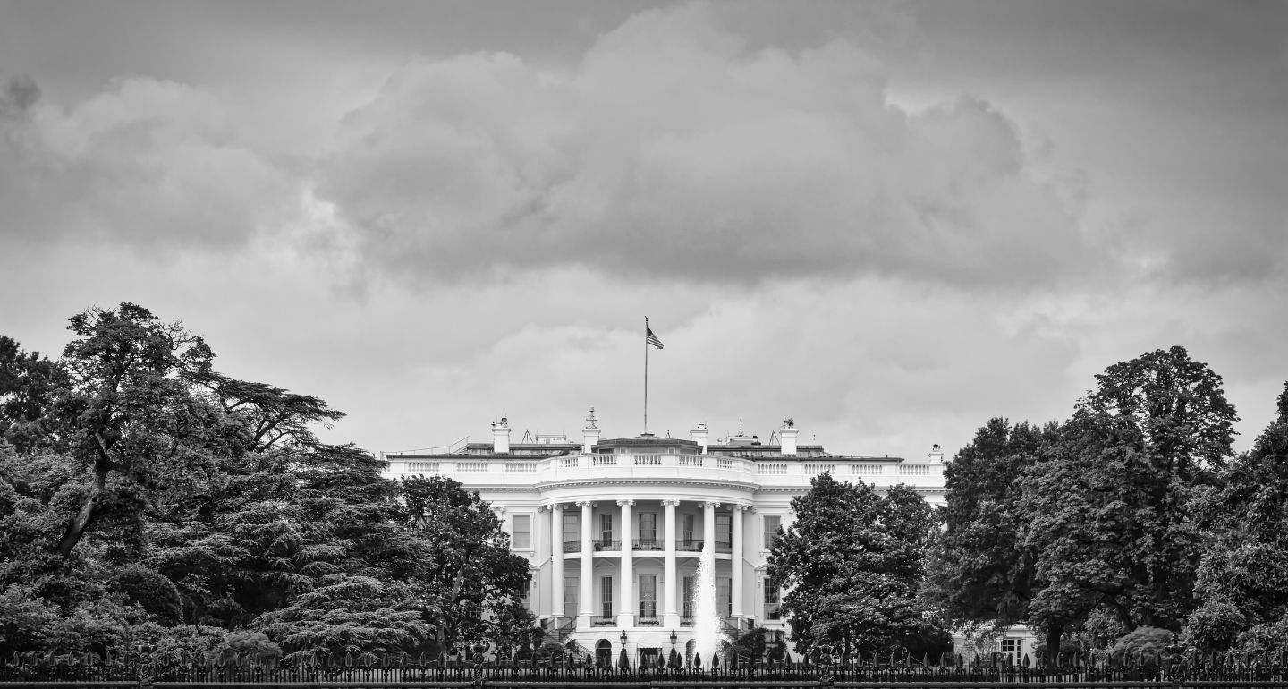 2024 Election Response - Local Progress